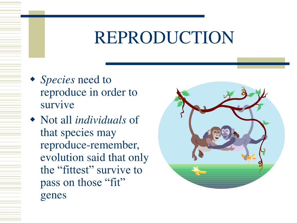 PPT - REPRODUCTION PowerPoint Presentation, free download - ID:6900371