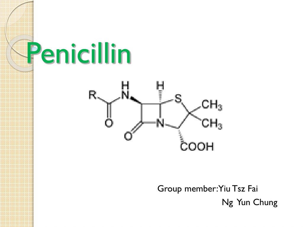 PPT - Penicillin PowerPoint Presentation, free download - ID:6900584