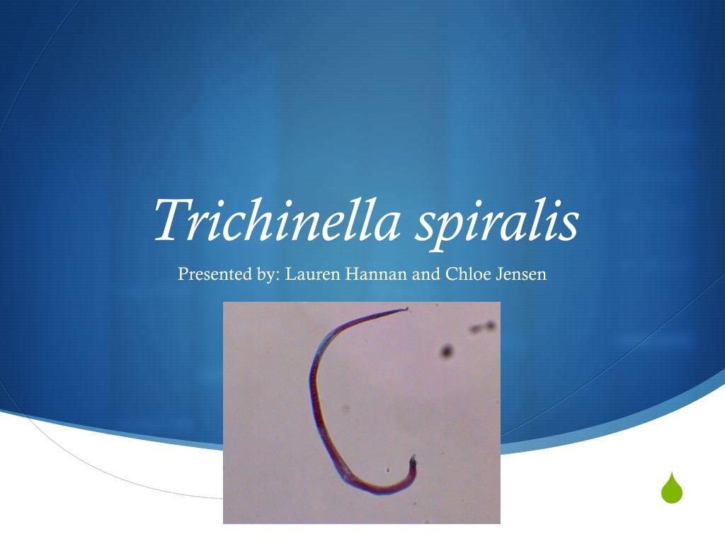 PPT - Trichinella spiralis PowerPoint Presentation, free download - ID ...
