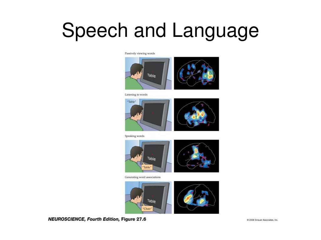 PPT - Speech and Language PowerPoint Presentation, free download - ID ...