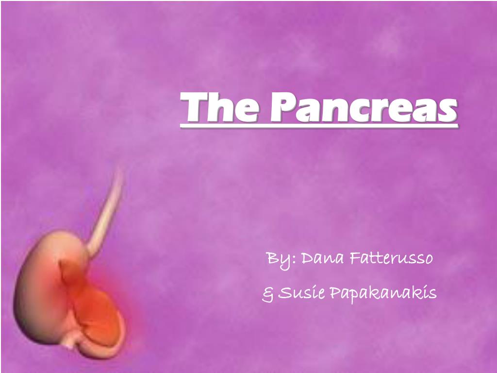 PPT - The Pancreas PowerPoint Presentation, free download - ID:6906735