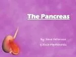 PPT - The Pancreas PowerPoint Presentation, free download - ID:146163