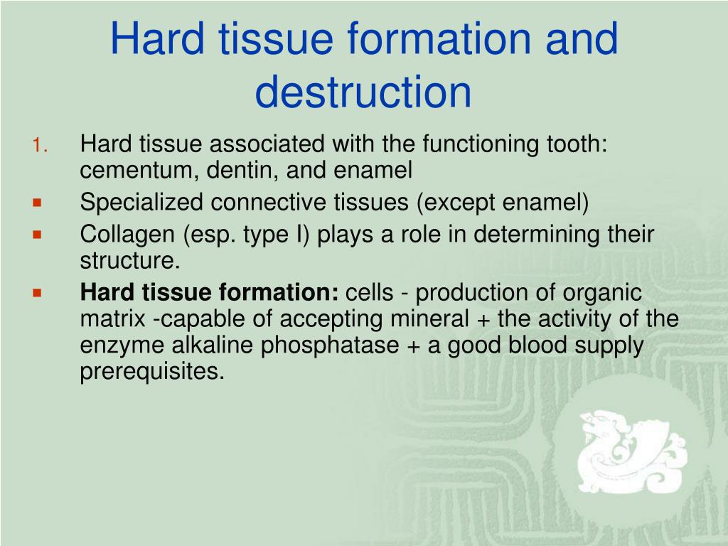 PPT - Hard tissue formation and destruction PowerPoint Presentation ...