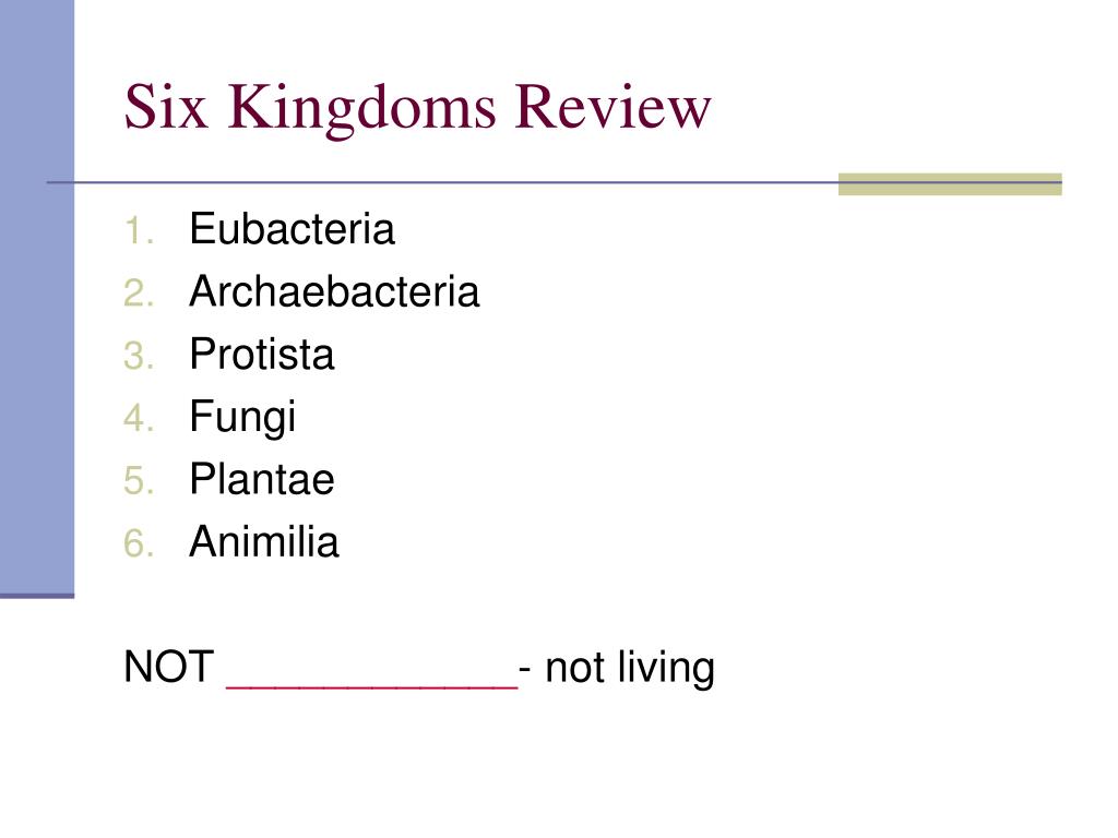 PPT - Six Kingdoms Review PowerPoint Presentation, free download - ID ...