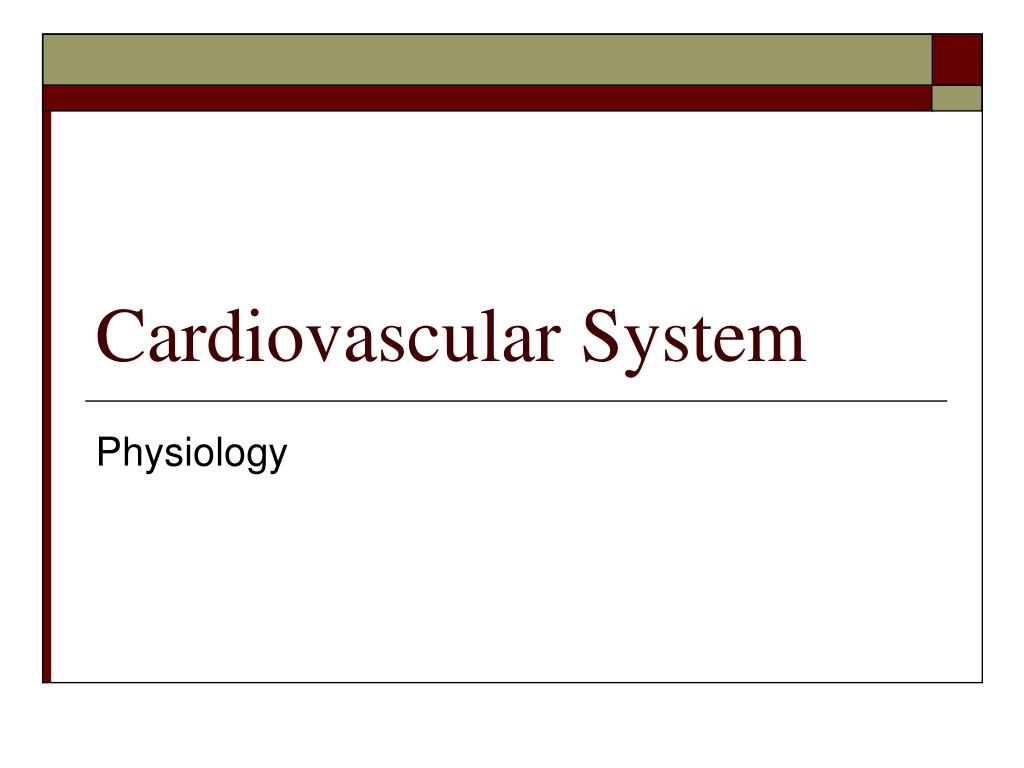 PPT - Cardiovascular System PowerPoint Presentation, free download - ID ...