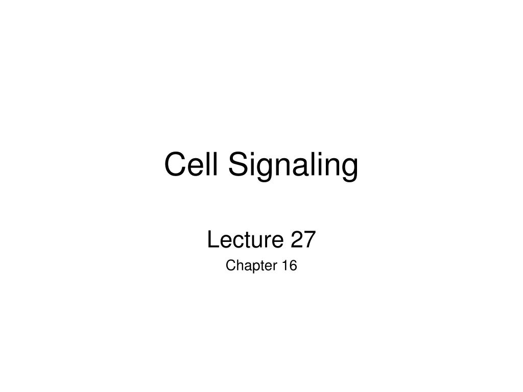 PPT - Cell Signaling PowerPoint Presentation, free download - ID:6908975