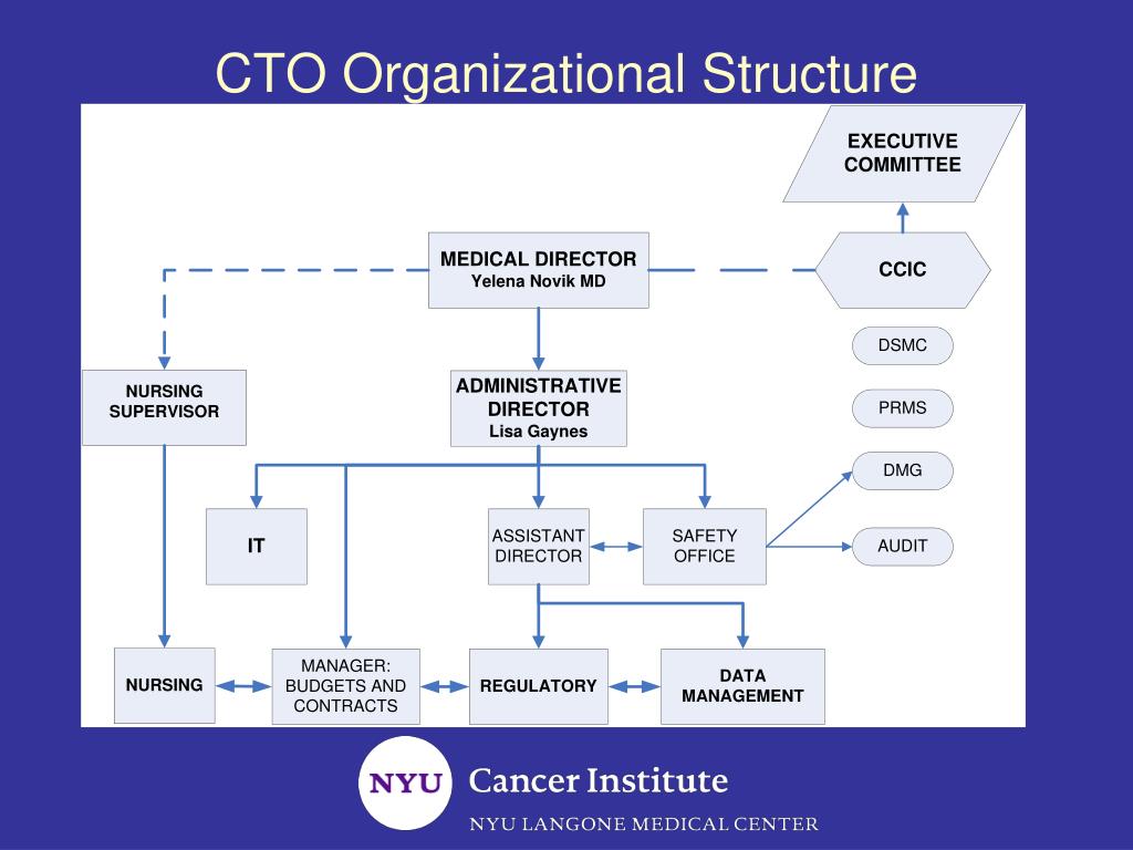 PPT - CTO Organizational Structure PowerPoint Presentation, free ...