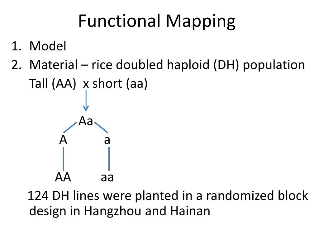 PPT - Functional Mapping PowerPoint Presentation, free download - ID ...