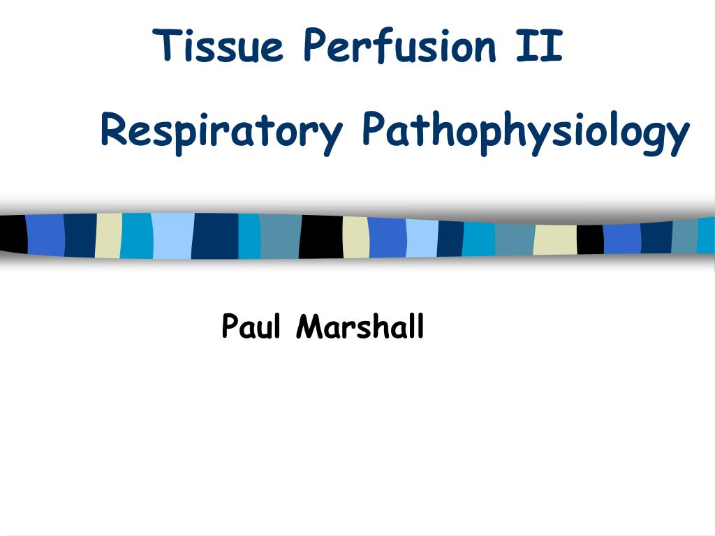 PPT - Tissue Perfusion II Respiratory Pathophysiology PowerPoint ...