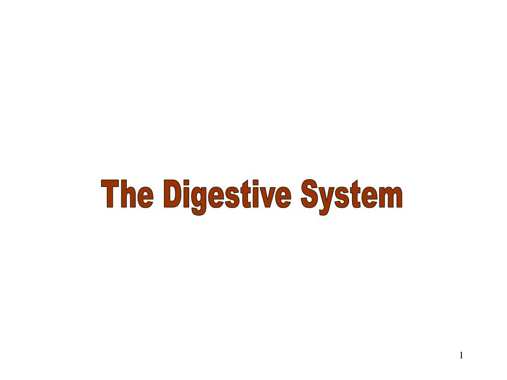 PPT - The Digestive System PowerPoint Presentation, free download - ID ...