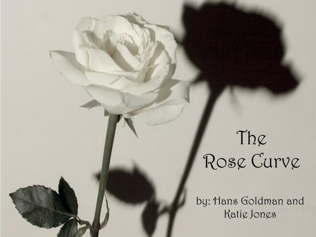 PPT - The Rose Curve PowerPoint Presentation, free download - ID:6911922