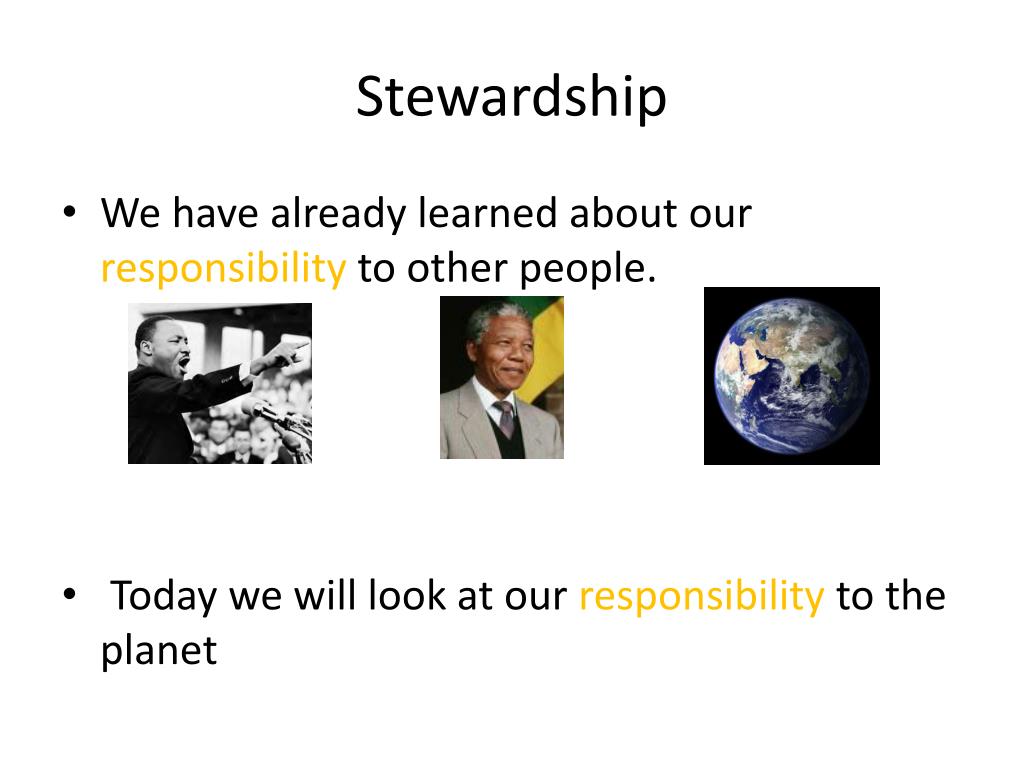 PPT - Stewardship PowerPoint Presentation, free download - ID:6915484