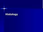 PPT - Histology PowerPoint Presentation, free download - ID:9373602