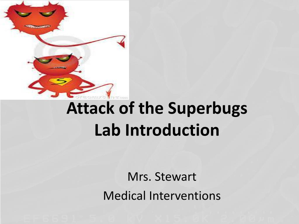 PPT - Attack of the Superbugs Lab Introduction PowerPoint Presentation ...