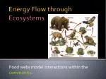 PPT - Food Delivery App Graphical Flow PowerPoint Presentation, free ...