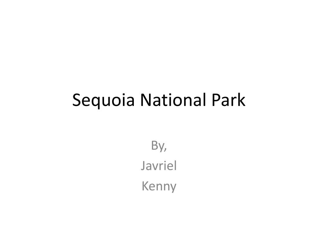 PPT - Sequoia National Park PowerPoint Presentation, free download - ID:6932955