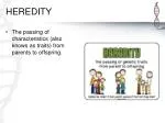 PPT - Heredity PowerPoint Presentation, free download - ID:277569