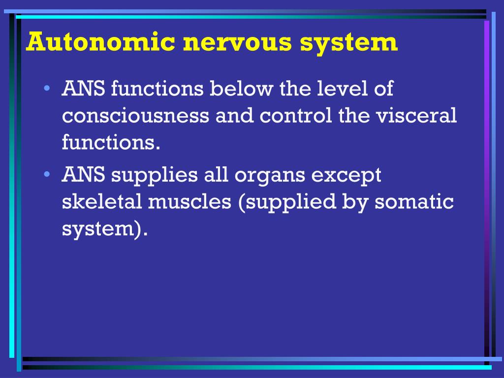PPT - Autonomic nervous system PowerPoint Presentation, free download ...