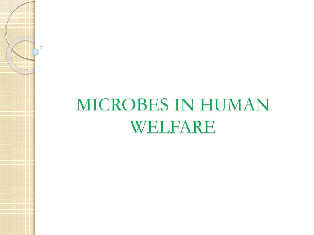 PPT - MICROBES IN HUMAN WELFARE PowerPoint Presentation, free download ...