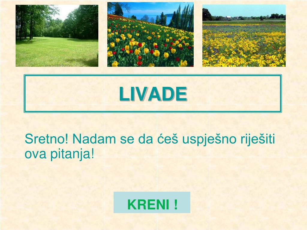 PPT - LIVADE PowerPoint Presentation, free download - ID:6953956