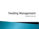 PPT - Feeding and Management of Swine PowerPoint Presentation, free ...