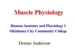 PPT - Muscle Physiology PowerPoint Presentation, free download - ID:6770239