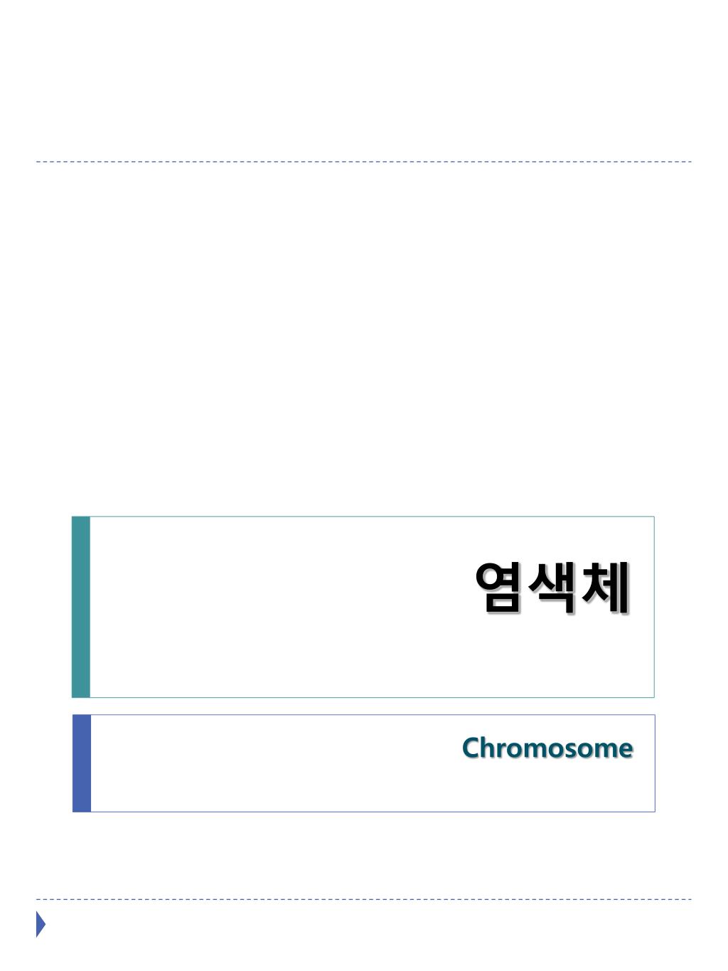 PPT - 염색체 PowerPoint Presentation, free download - ID:6958235