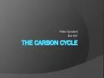 PPT - The Carbon Cycle PowerPoint Presentation, free download - ID:6493206