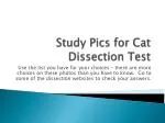 PPT - CAT DISSECTION PowerPoint Presentation, free download - ID:2017019