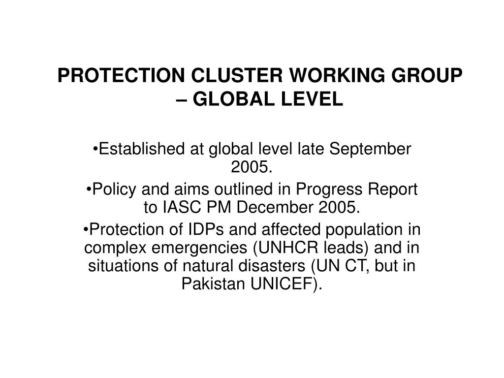 PPT - PROTECTION CLUSTER WORKING GROUP – GLOBAL LEVEL PowerPoint ...