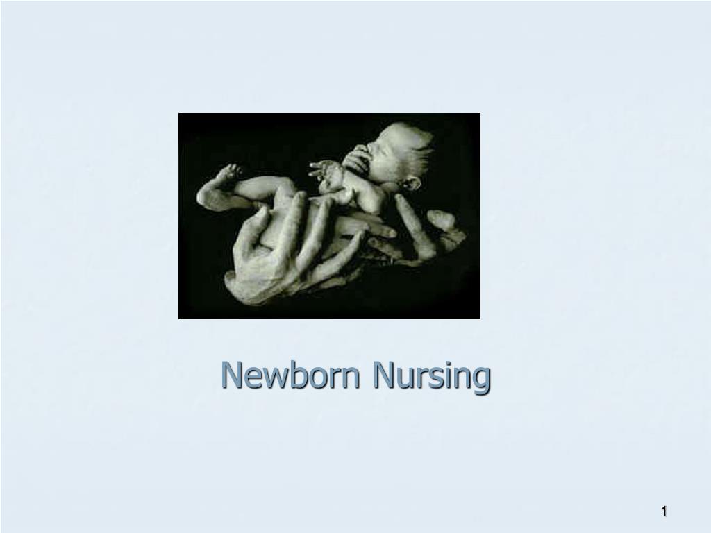 PPT - Newborn Nursing PowerPoint Presentation, free download - ID:6966884