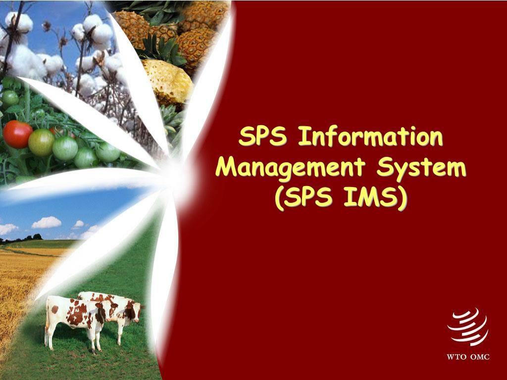 PPT - SPS Information Management System (SPS IMS) PowerPoint ...