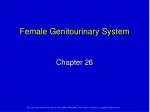 PPT - Assessment of the Female Genitourinary System PowerPoint ...