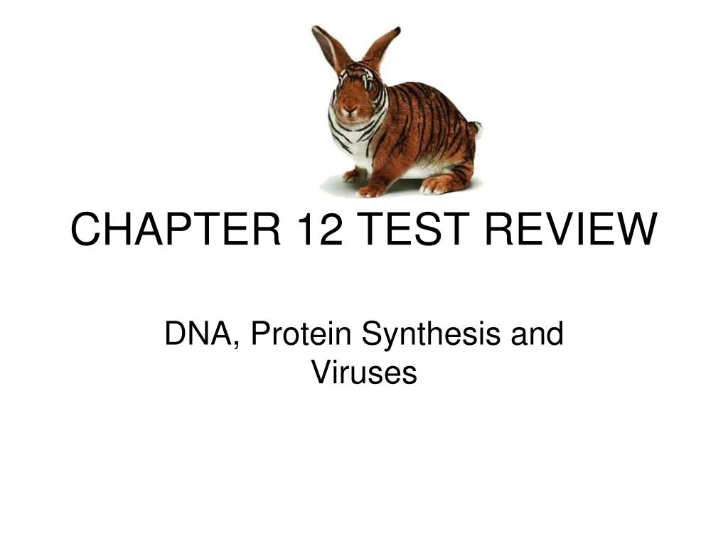 PPT - CHAPTER 12 TEST REVIEW PowerPoint Presentation, free download ...