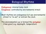 PPT - Biological Rhythms: Circadian rhythms PowerPoint Presentation ...