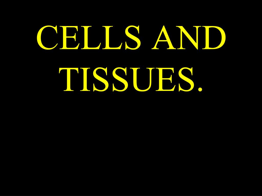 PPT - CELLS AND TISSUES. PowerPoint Presentation, free download - ID ...