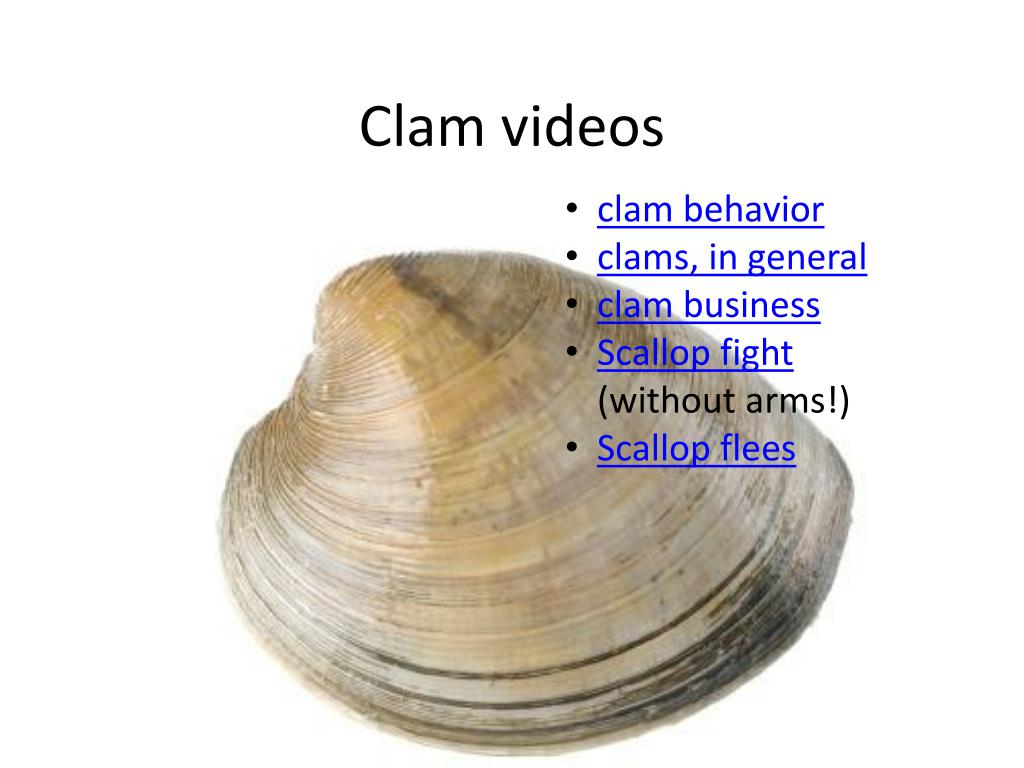 PPT - Clam videos PowerPoint Presentation, free download - ID:6975150