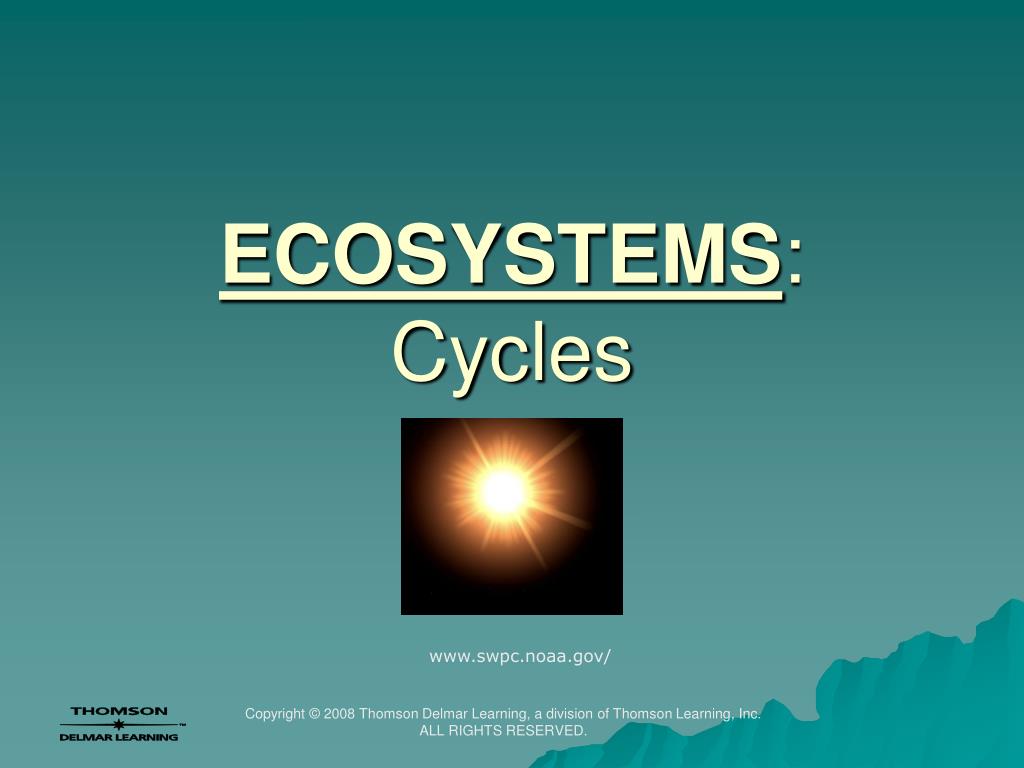 PPT - ECOSYSTEMS : Cycles PowerPoint Presentation, free download - ID ...