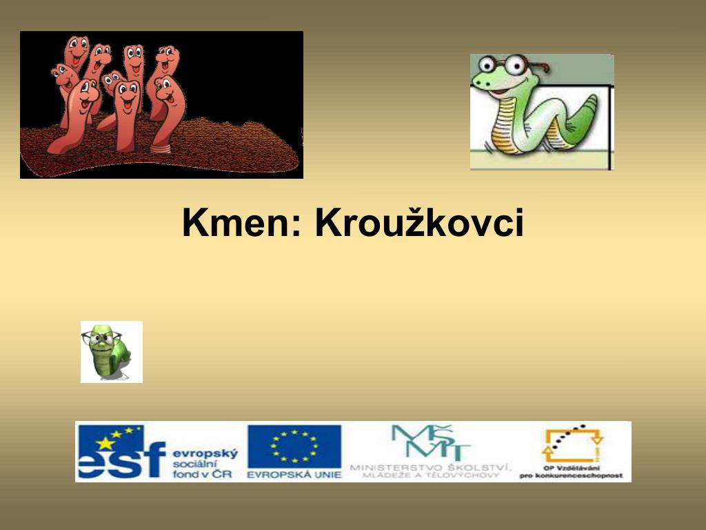 PPT - Kmen: Kroužkovci PowerPoint Presentation, free download - ID:6976721