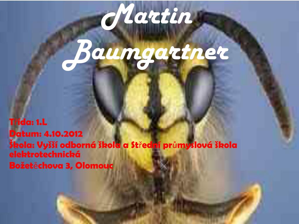 PPT - Martin Baumgartner PowerPoint Presentation, free download - ID ...