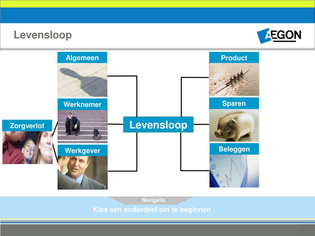 PPT - Levensloop PowerPoint Presentation, free download - ID:6984634