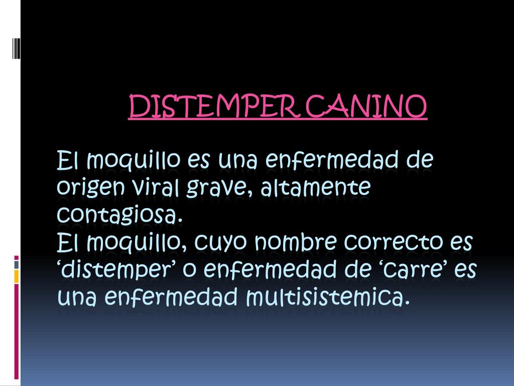 PPT - DISTEMPER CANINO PowerPoint Presentation, free download - ID:6991818