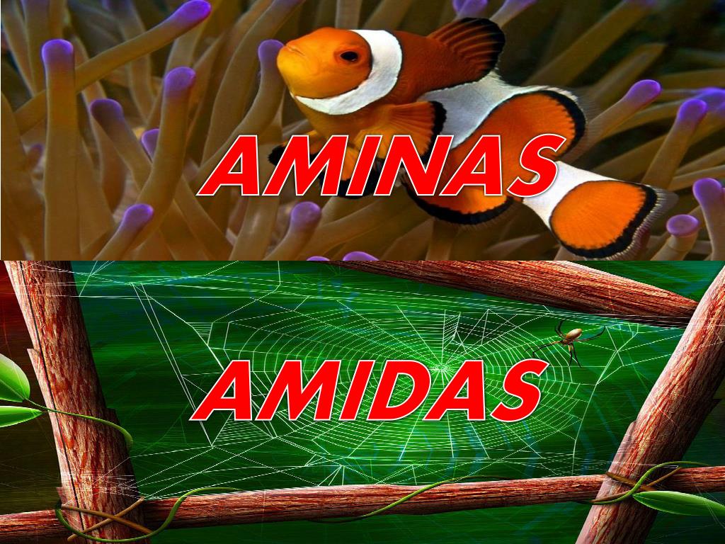 PPT - AMIDAS PowerPoint Presentation, free download - ID:6992876