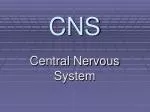 PPT - CNS Examination PowerPoint Presentation, free download - ID:403174