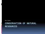 PPT - Conservation of Resources Theory PowerPoint Presentation, free ...
