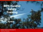 PPT - TELESCOPIC HANDLER OPERATOR SAFETY TRAINING PowerPoint ...