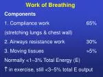 PPT - PHYSIOLOGY OF CONTROL OF BREATHING PowerPoint Presentation, free ...