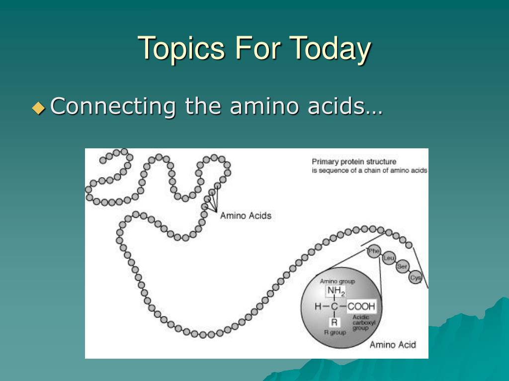 PPT - Topics For Today PowerPoint Presentation, free download - ID:7005224