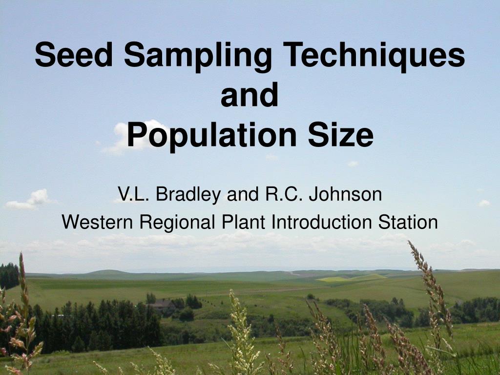 PPT - Seed Sampling Techniques and Population Size PowerPoint ...