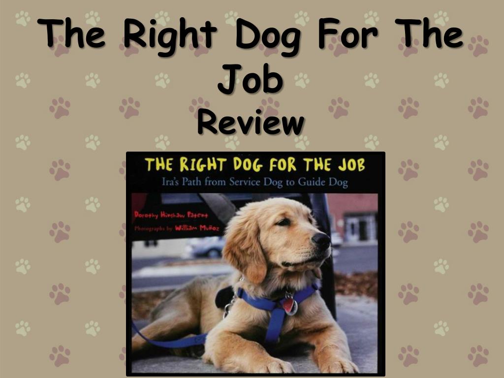 PPT - The Right Dog For The Job Review PowerPoint Presentation, free ...